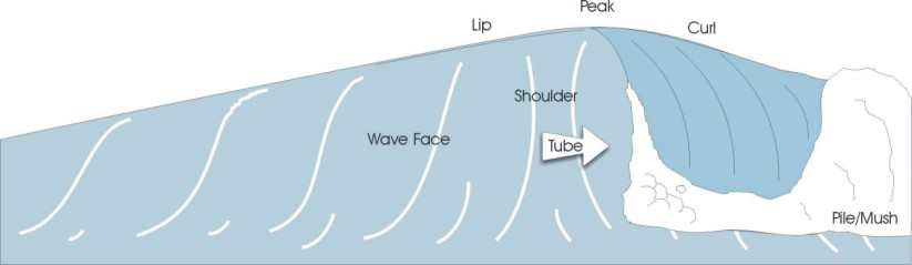 Wave Terminology1 Sweetwater Coaching wave-terminology1-sweetwater-coaching